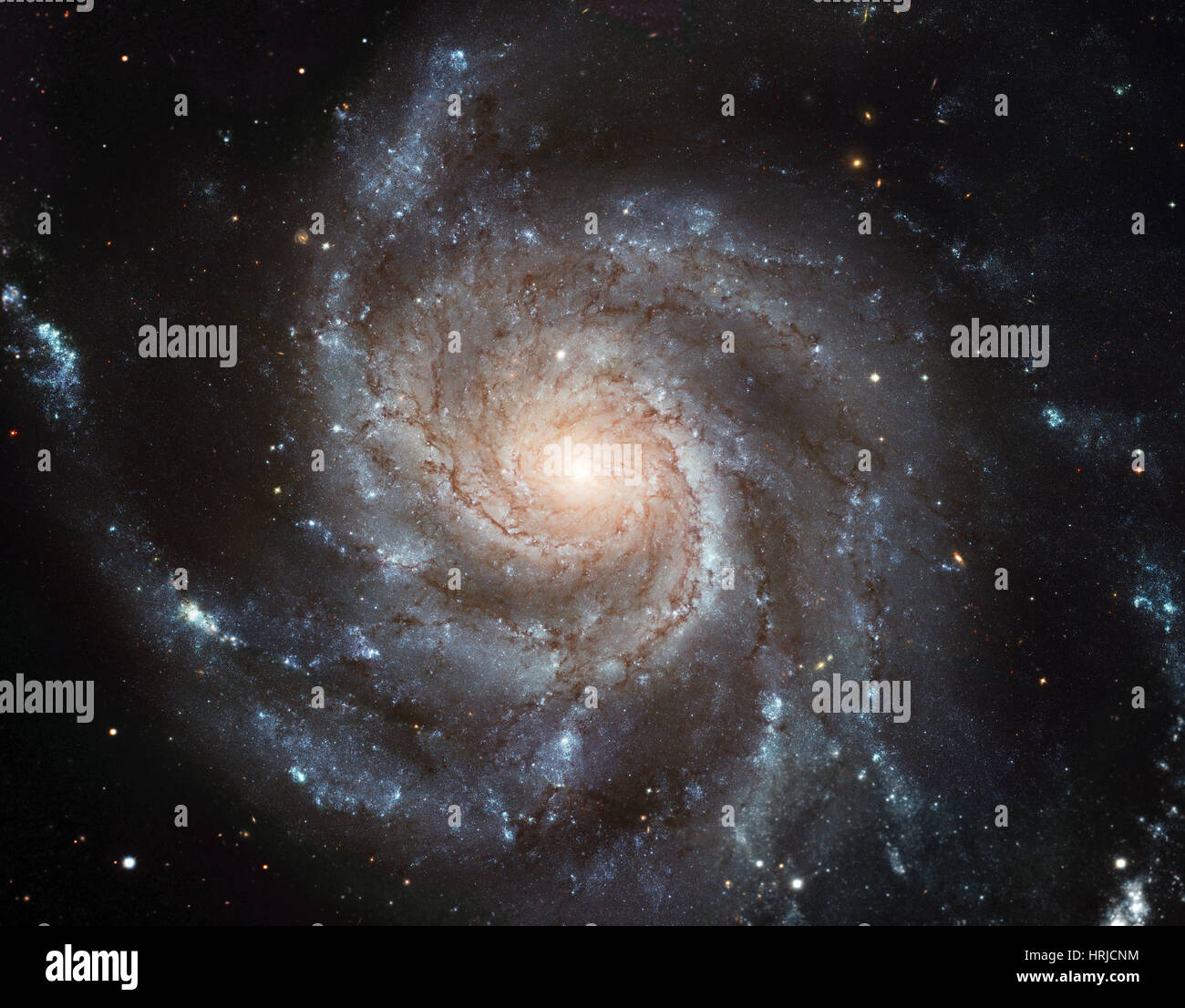 M101, NGC 5457, Pinwheel Galaxy, Spiral Galaxy Stock Photo - Alamy