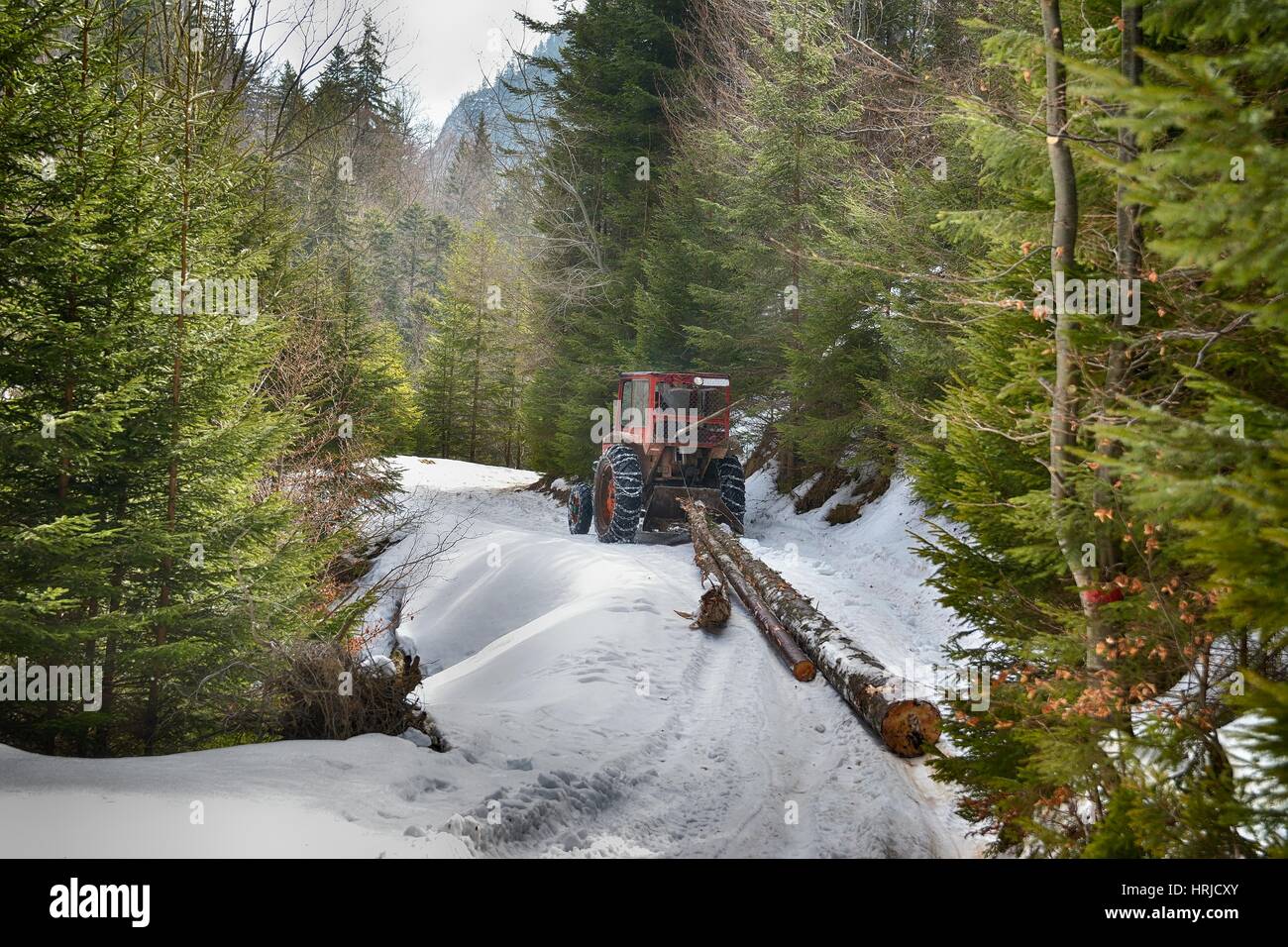 Timber tractor hi-res stock photography and images - Alamy
