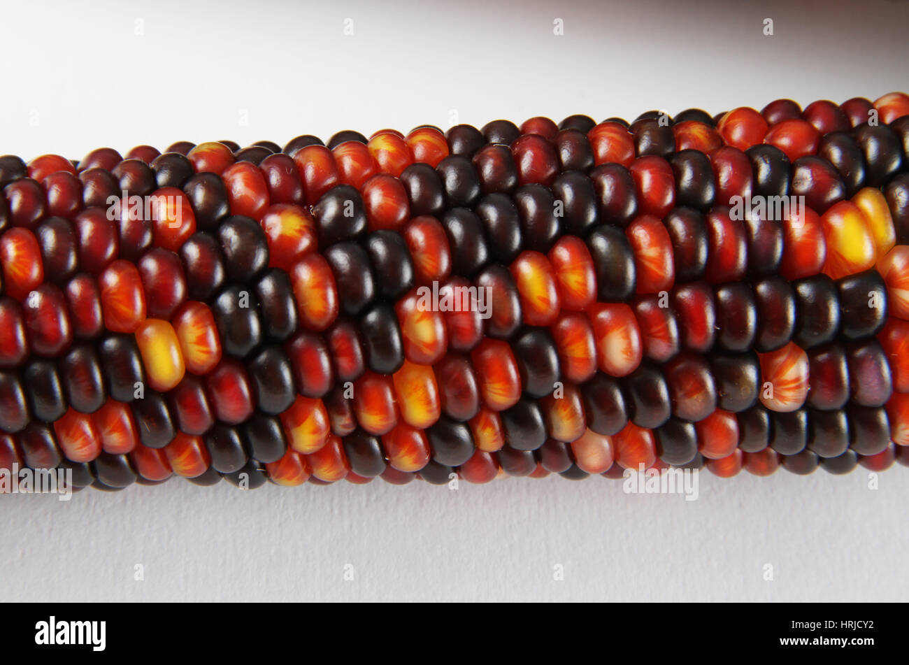 Calico corn hi-res stock photography and images - Alamy