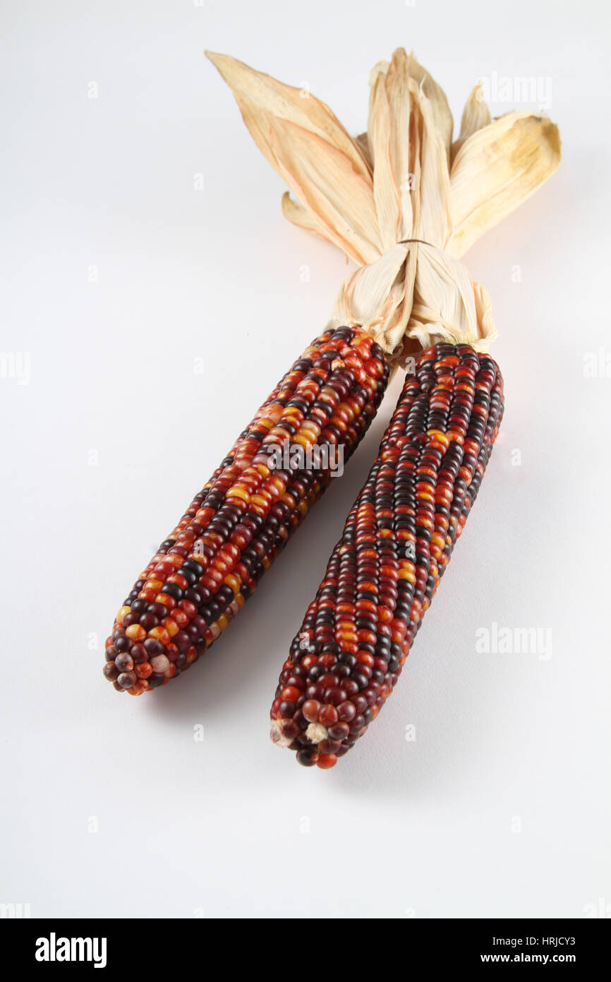 Calico corn hi-res stock photography and images - Alamy