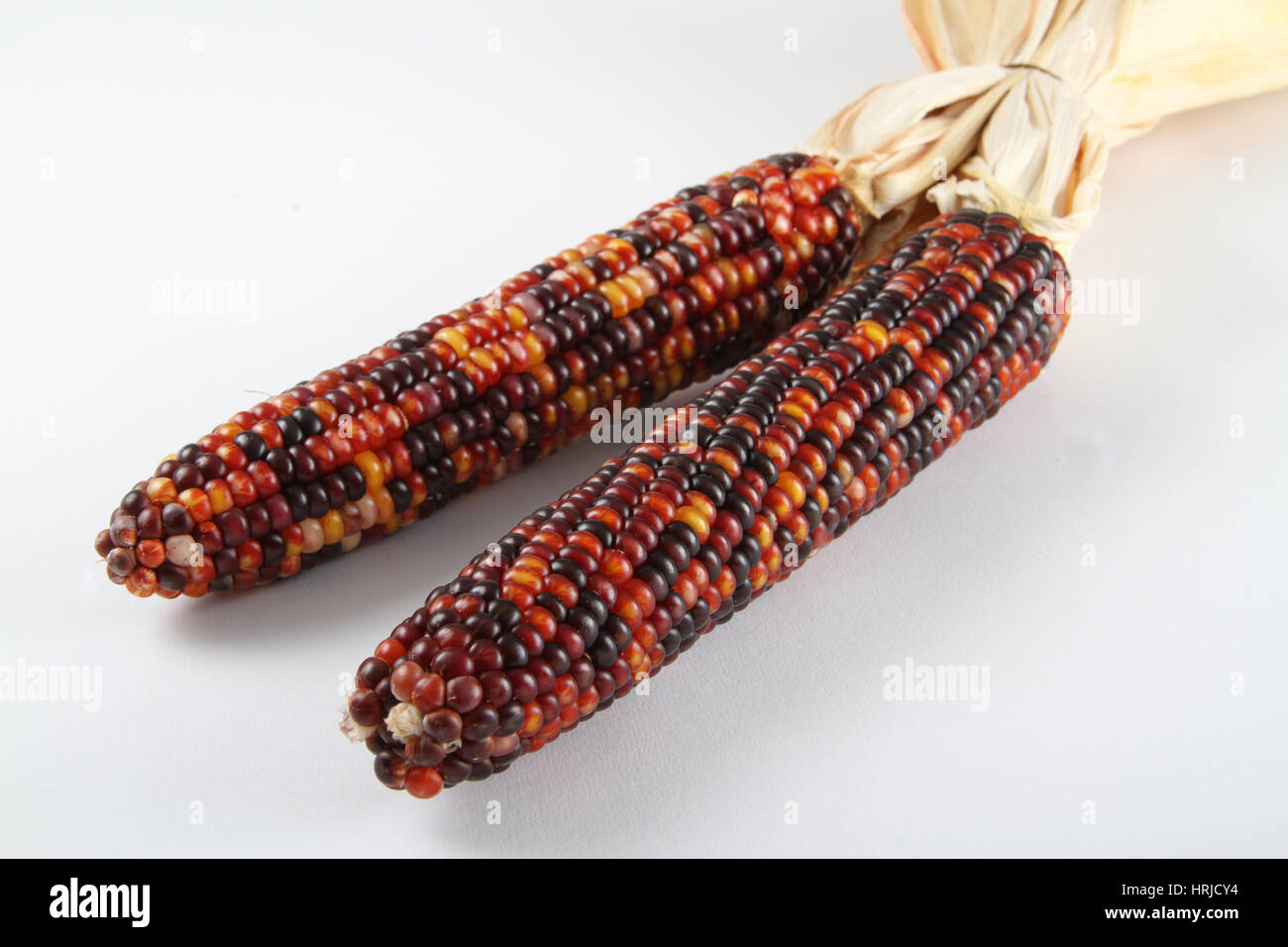 Calico corn hi-res stock photography and images - Alamy