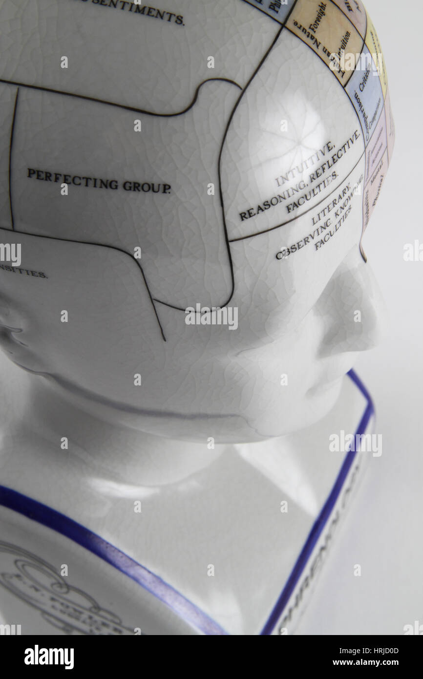 Phrenological diagram hi-res stock photography and images - Alamy