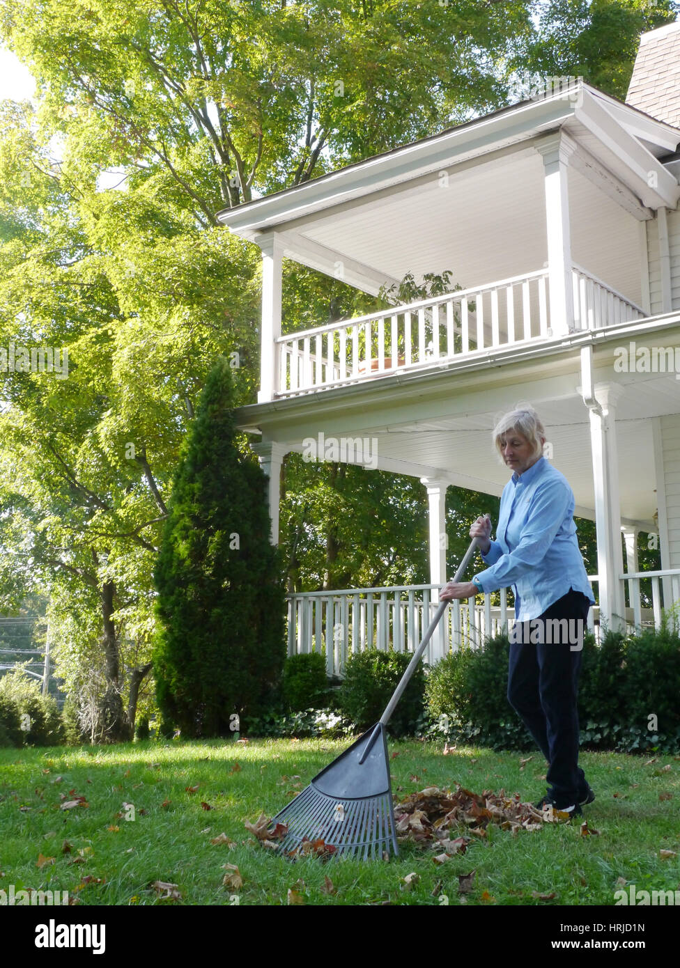 Senior Woman Raking Leaves Stock Photo - Alamy
