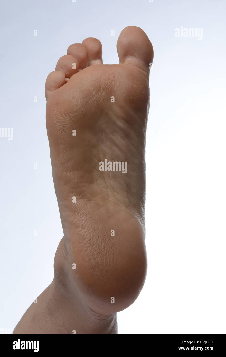 Bottom of foot anatomy hi-res stock photography and images - Alamy