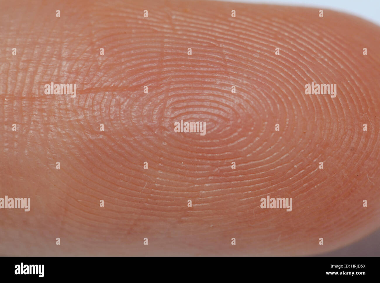 Arch fingerprint hi-res stock photography and images - Alamy