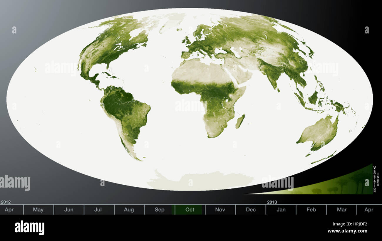Earth Vegetation Patterns, 2012-13 Stock Photo - Alamy