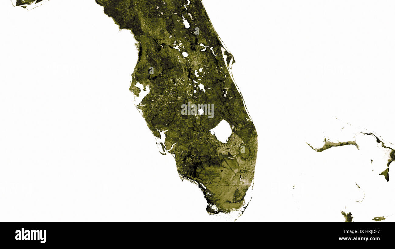 Vegetation Patterns, FL Everglades, 2012-13 Stock Photo - Alamy