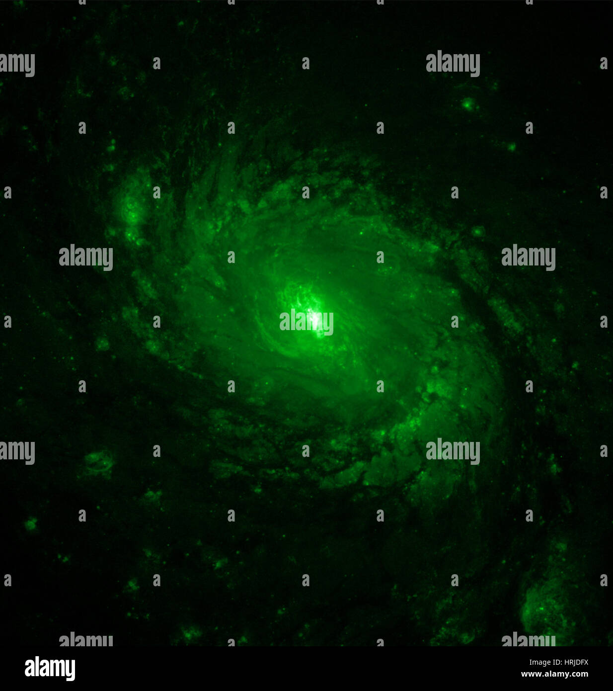 Barred Spiral Galaxy, M77, NGC 1068, Optical Stock Photo - Alamy