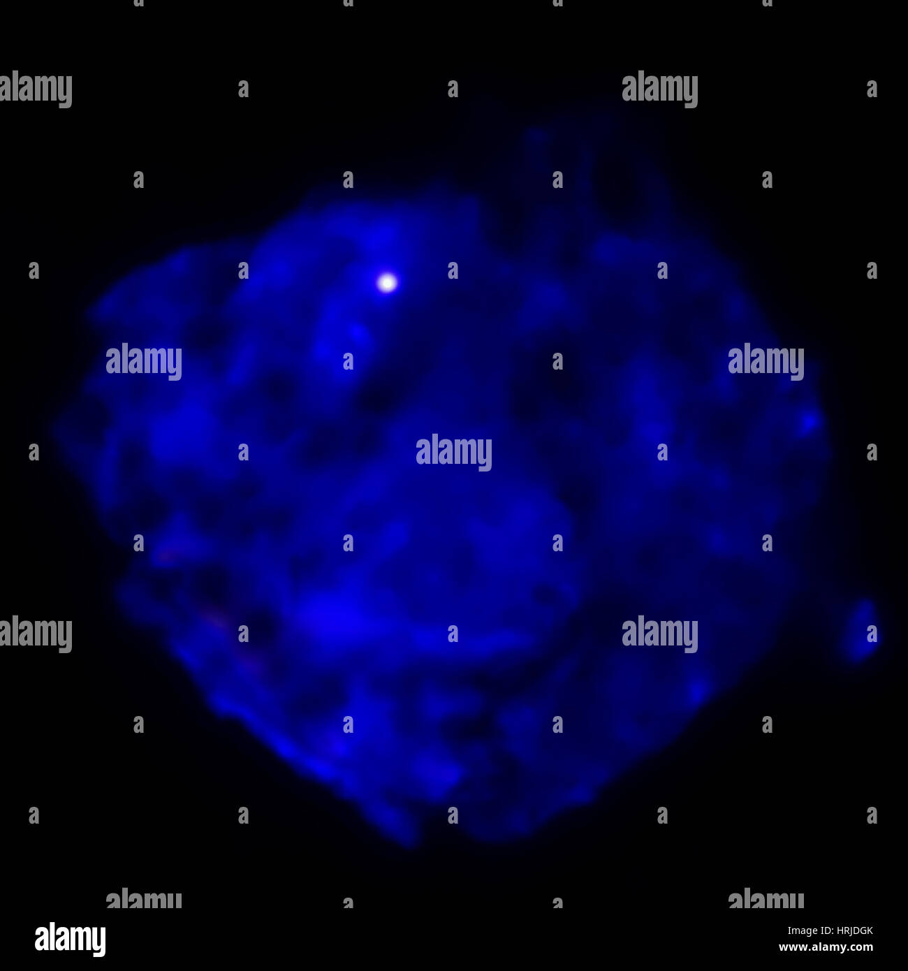 N49, Supernova Explosion in LMC, X-Ray Stock Photo - Alamy