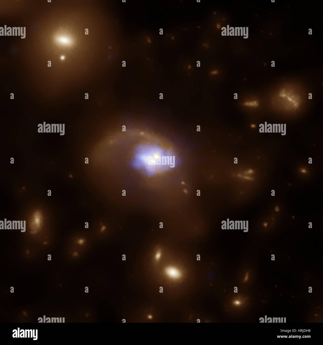 Recoiling High Resolution Stock Photography and Images - Alamy