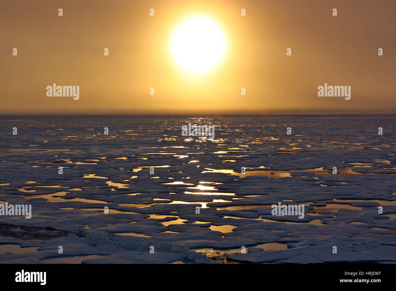 Arctic ecosystems hi-res stock photography and images - Alamy