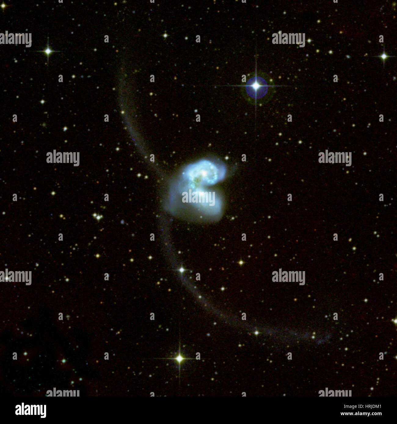 Ngc 4038 hi-res stock photography and images - Alamy