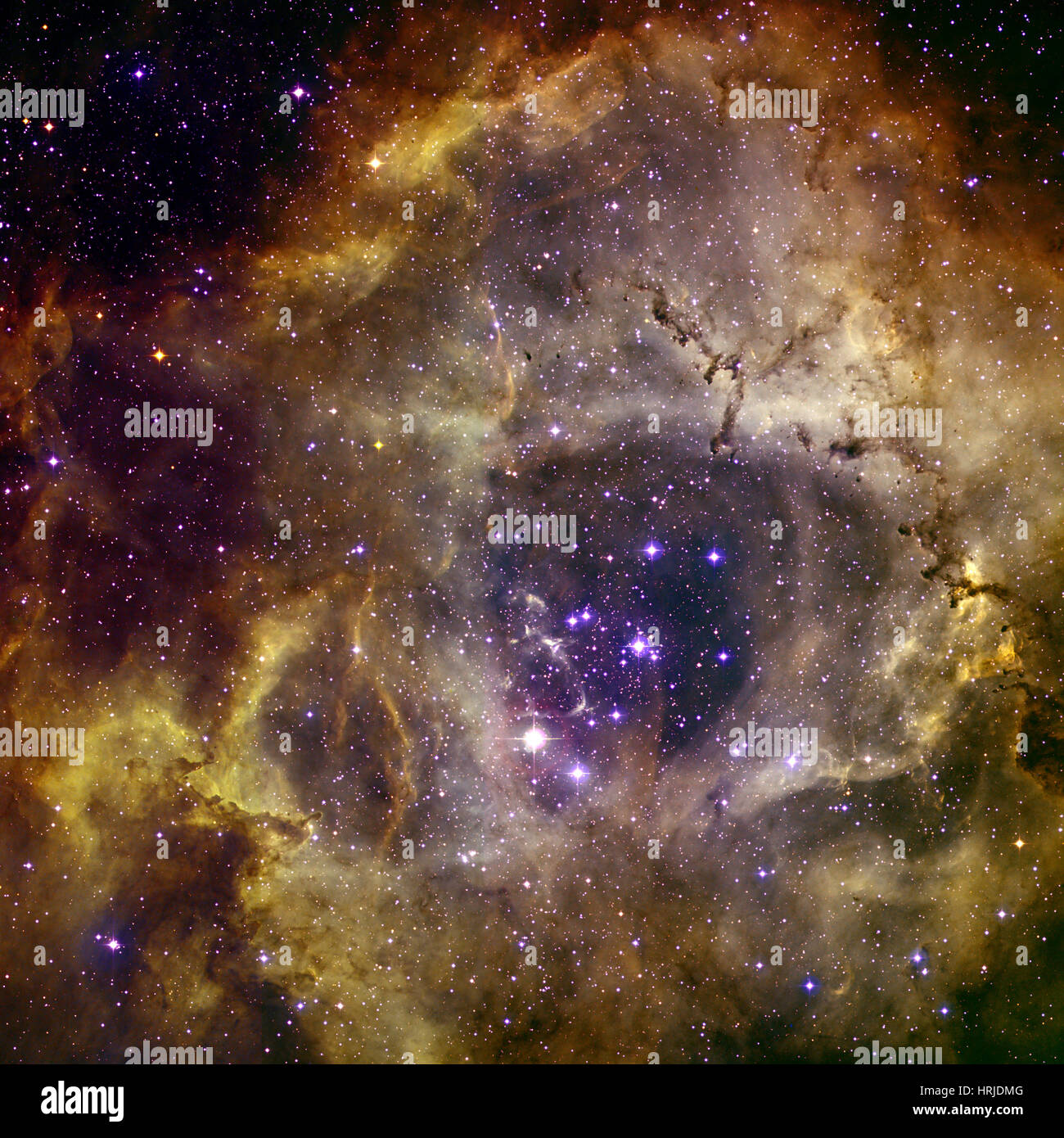 NGC 2237, Caldwell 49, Rosette Nebula, Optical Stock Photo - Alamy