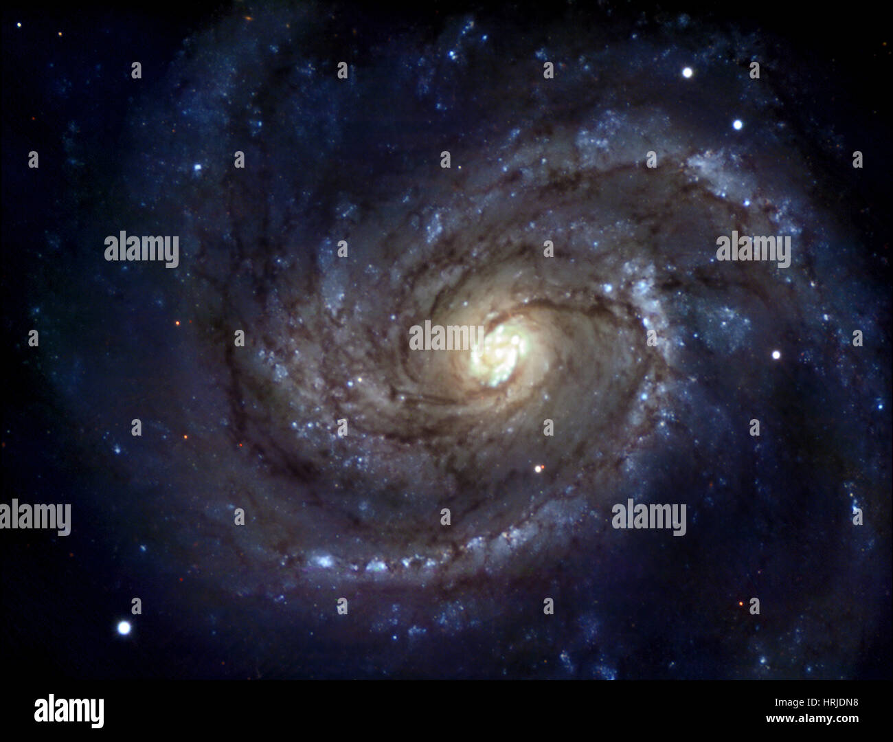 Galaxy You Are Here