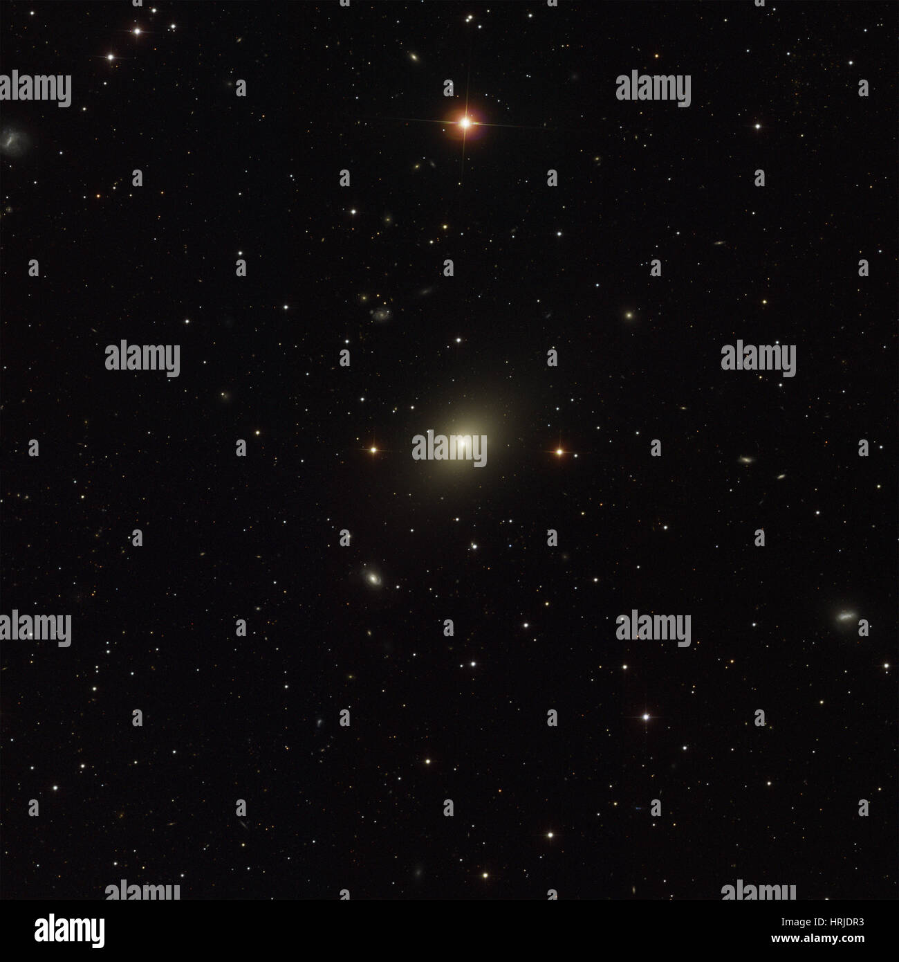 Wf image hi-res stock photography and images - Alamy