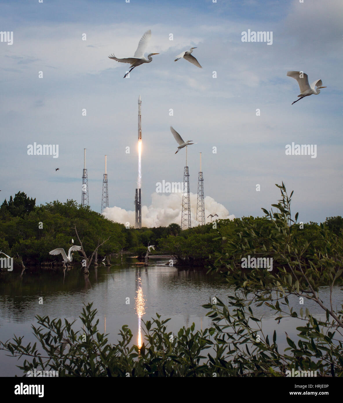 MAVEN Launches Toward Mars Stock Photo - Alamy