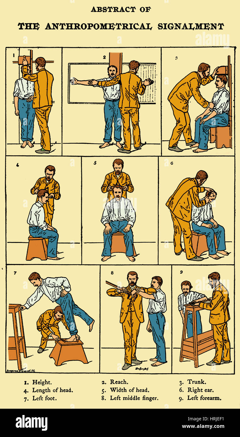 The Anthropometrical Signalment, 1896 Stock Photo - Alamy