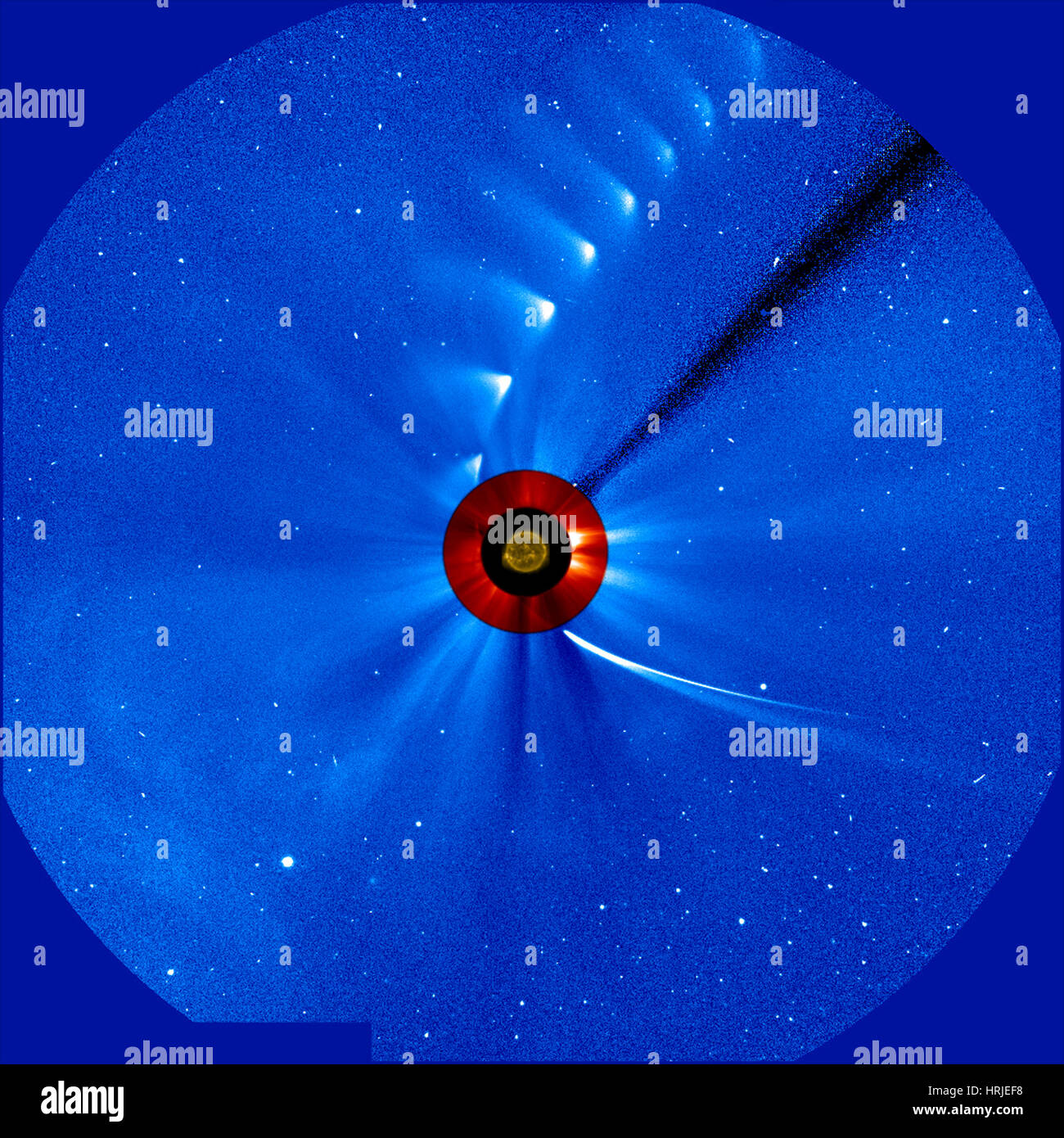 Comet ISON and the Sun Stock Photo - Alamy