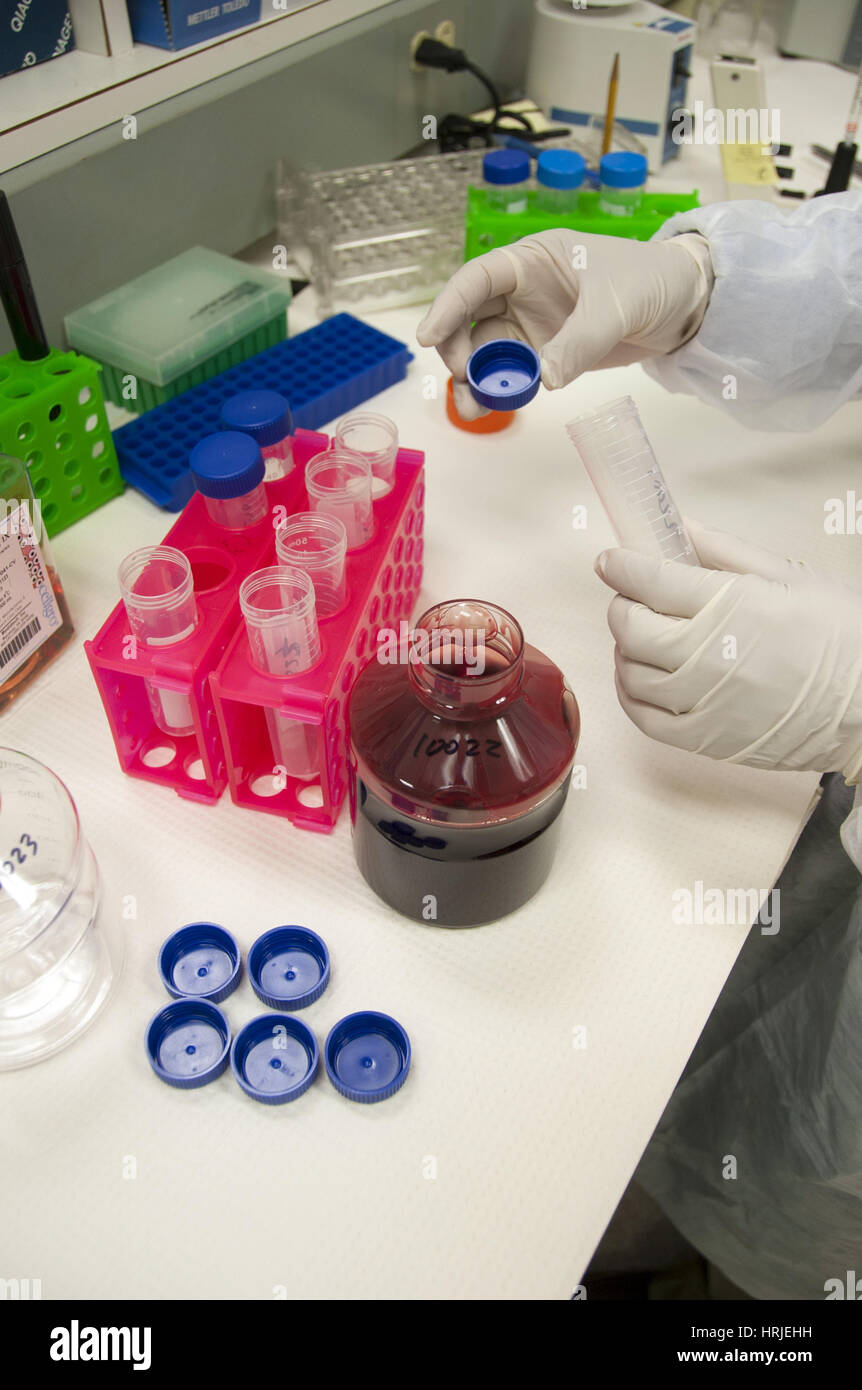 FDA Blood Research Lab, 2013 Stock Photo - Alamy