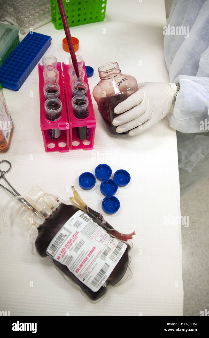 Fda blood research lab hi-res stock photography and images - Alamy