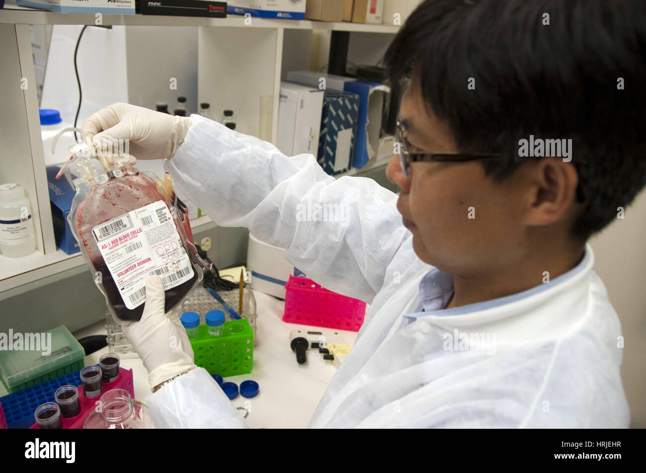 FDA Blood Research Lab, 2013 Stock Photo - Alamy