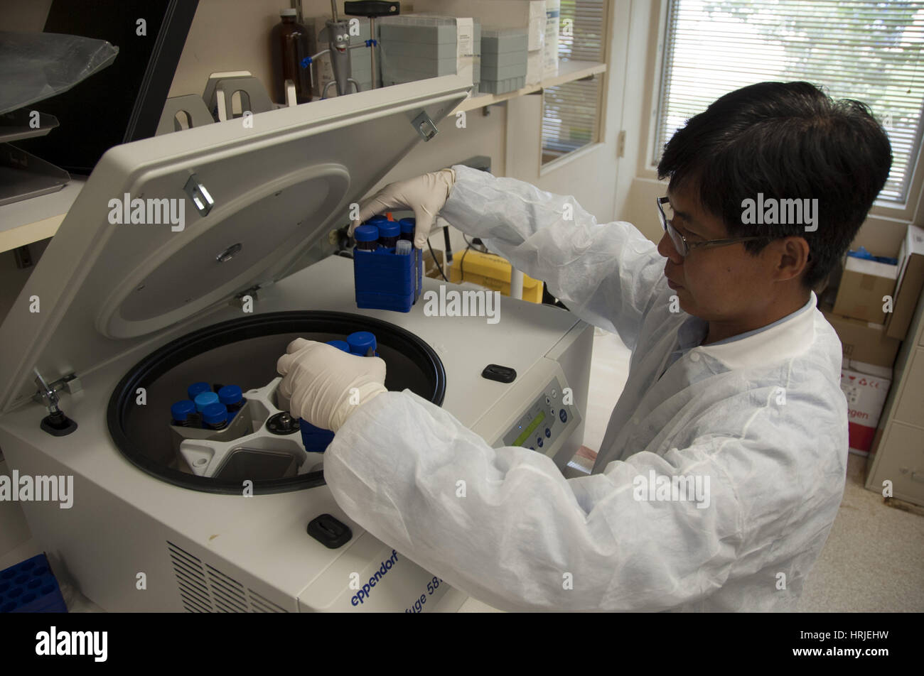 Laboratory centrifuge blood processing hi-res stock photography and ...