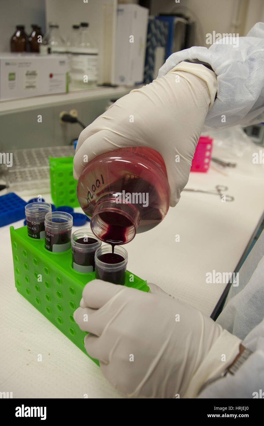 Fda blood research lab hi-res stock photography and images - Alamy