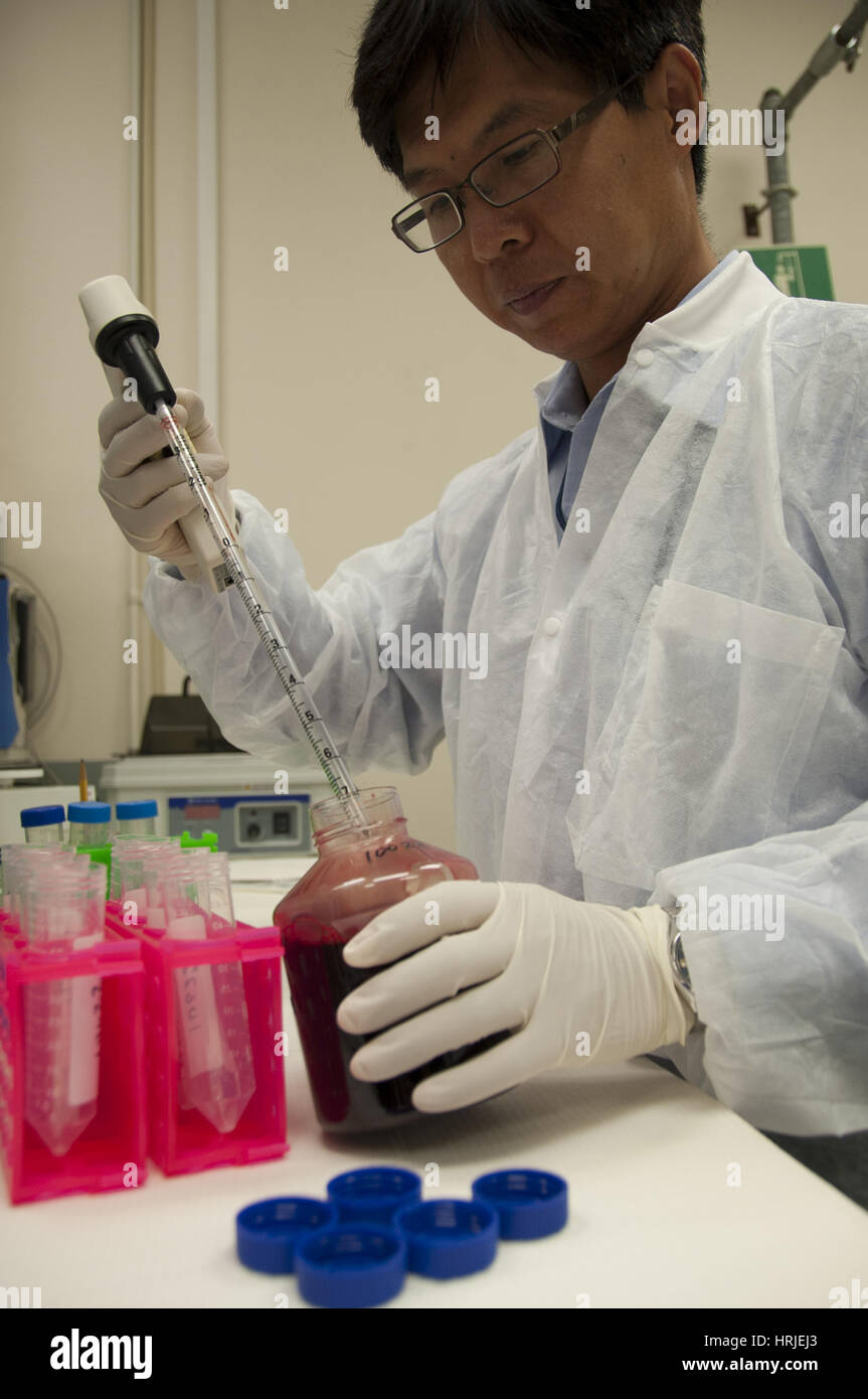 FDA Blood Research Lab, 2013 Stock Photo - Alamy