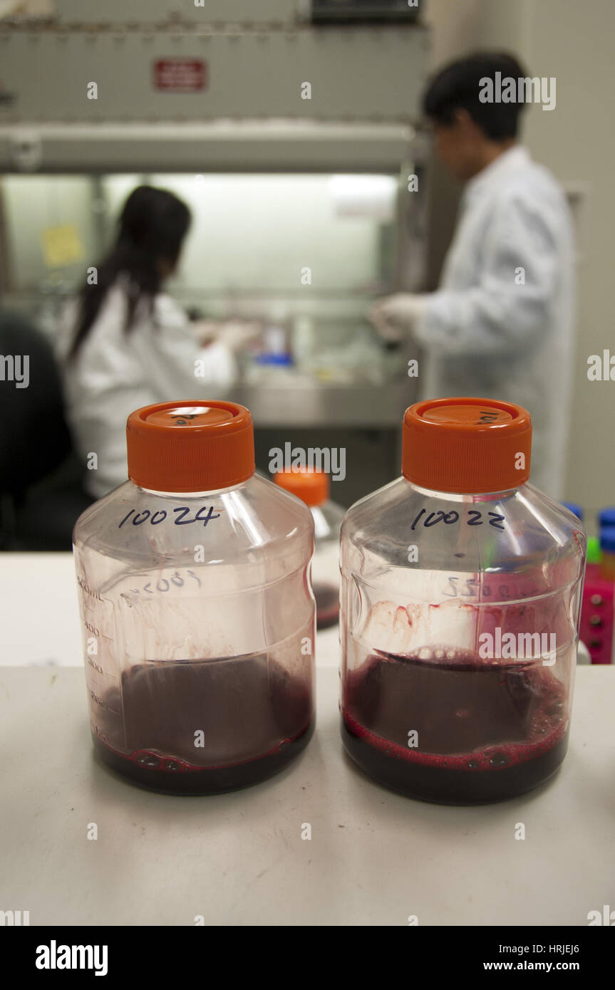 Fda lab test hi-res stock photography and images - Alamy