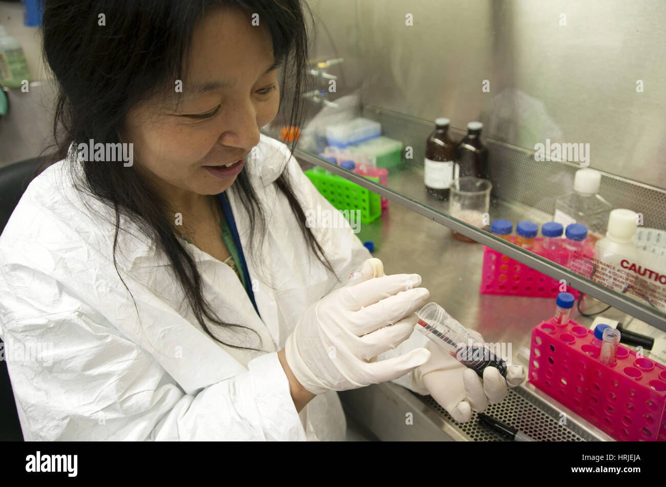 FDA Blood Research Lab, 2013 Stock Photo - Alamy