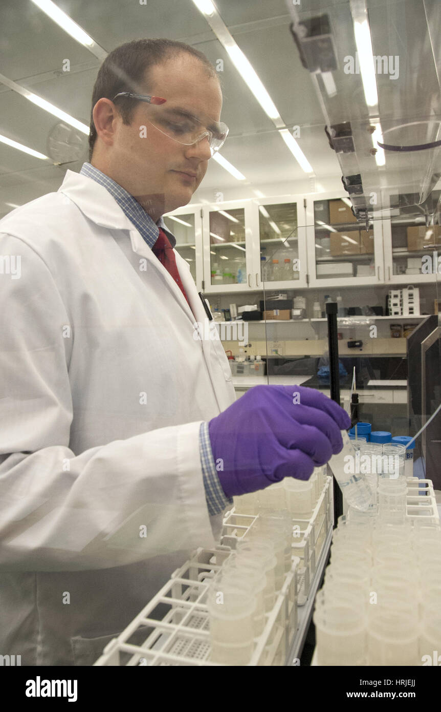 FDA Lab, Testing Food for Arsenic, 2013 Stock Photo - Alamy