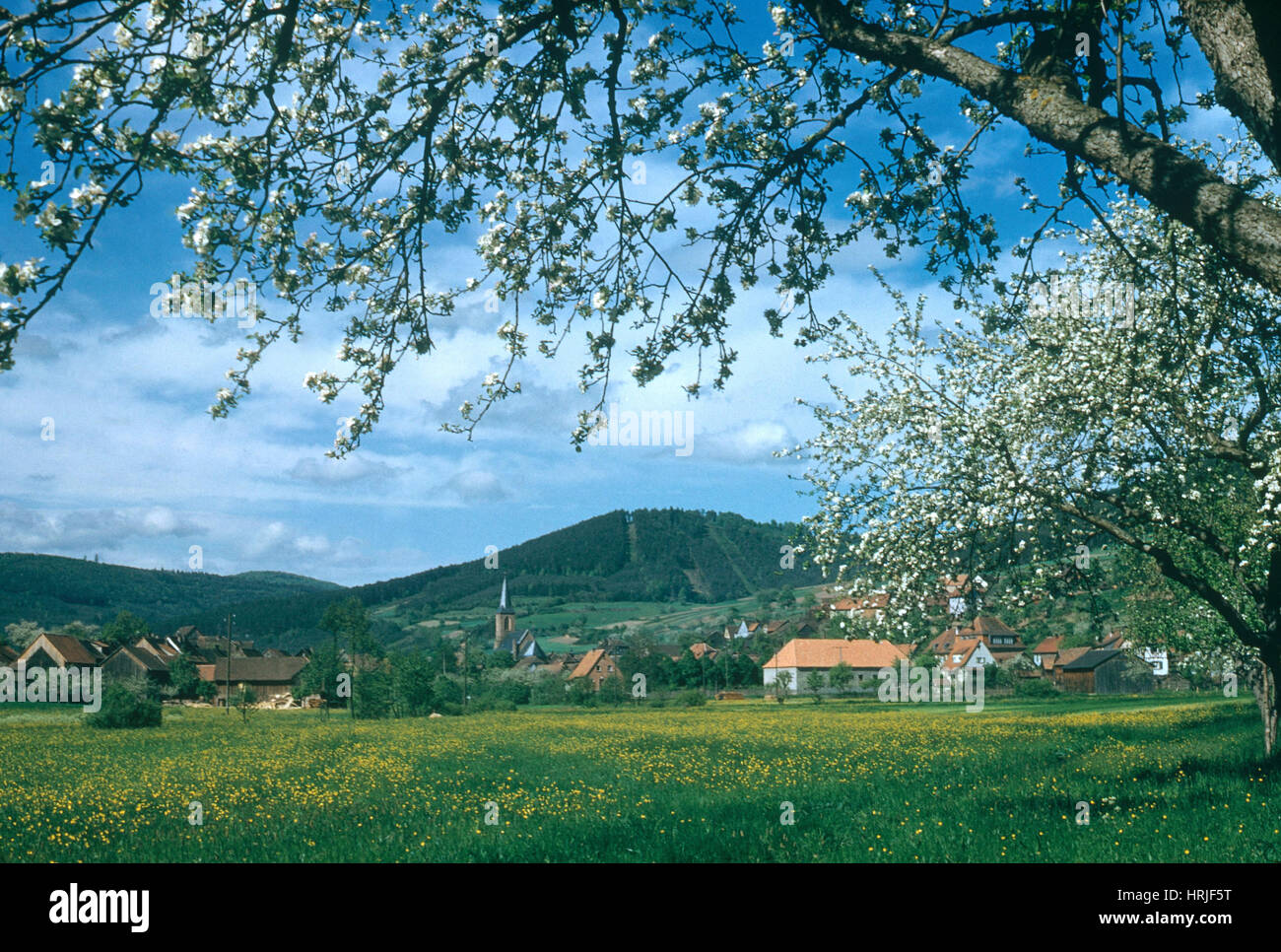 Oden Forest , Germany Stock Photo - Alamy
