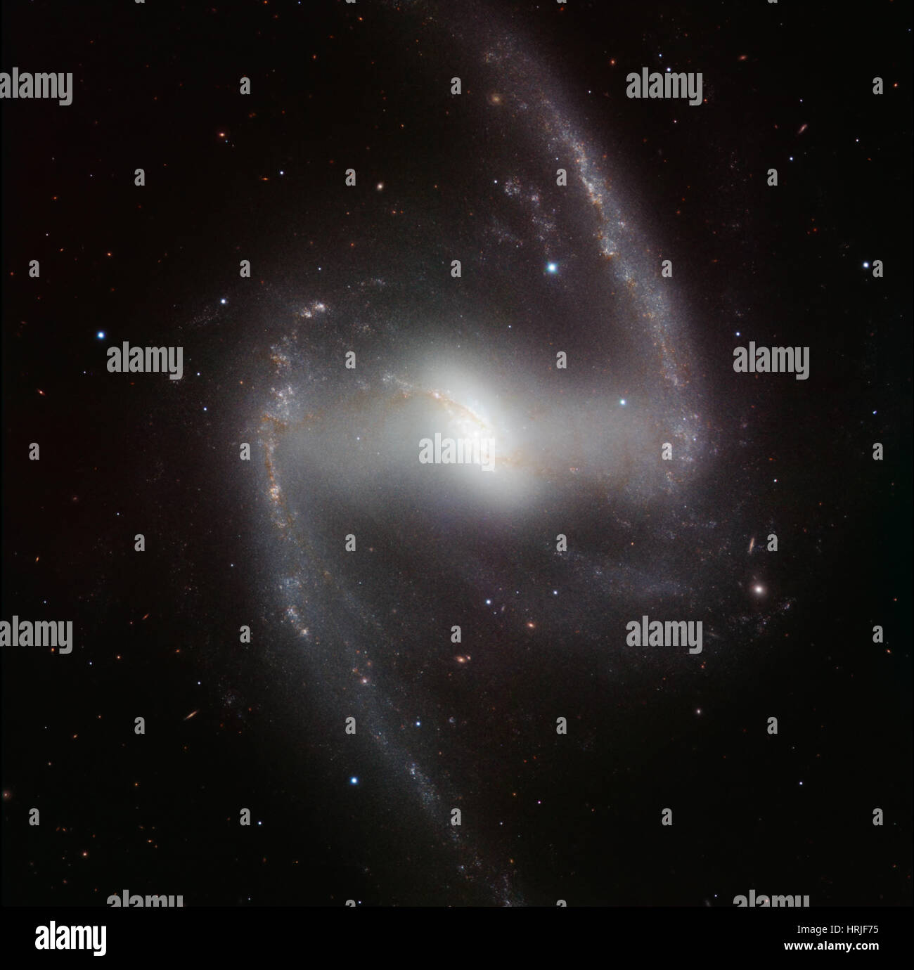 Barrel Spiral Galaxies