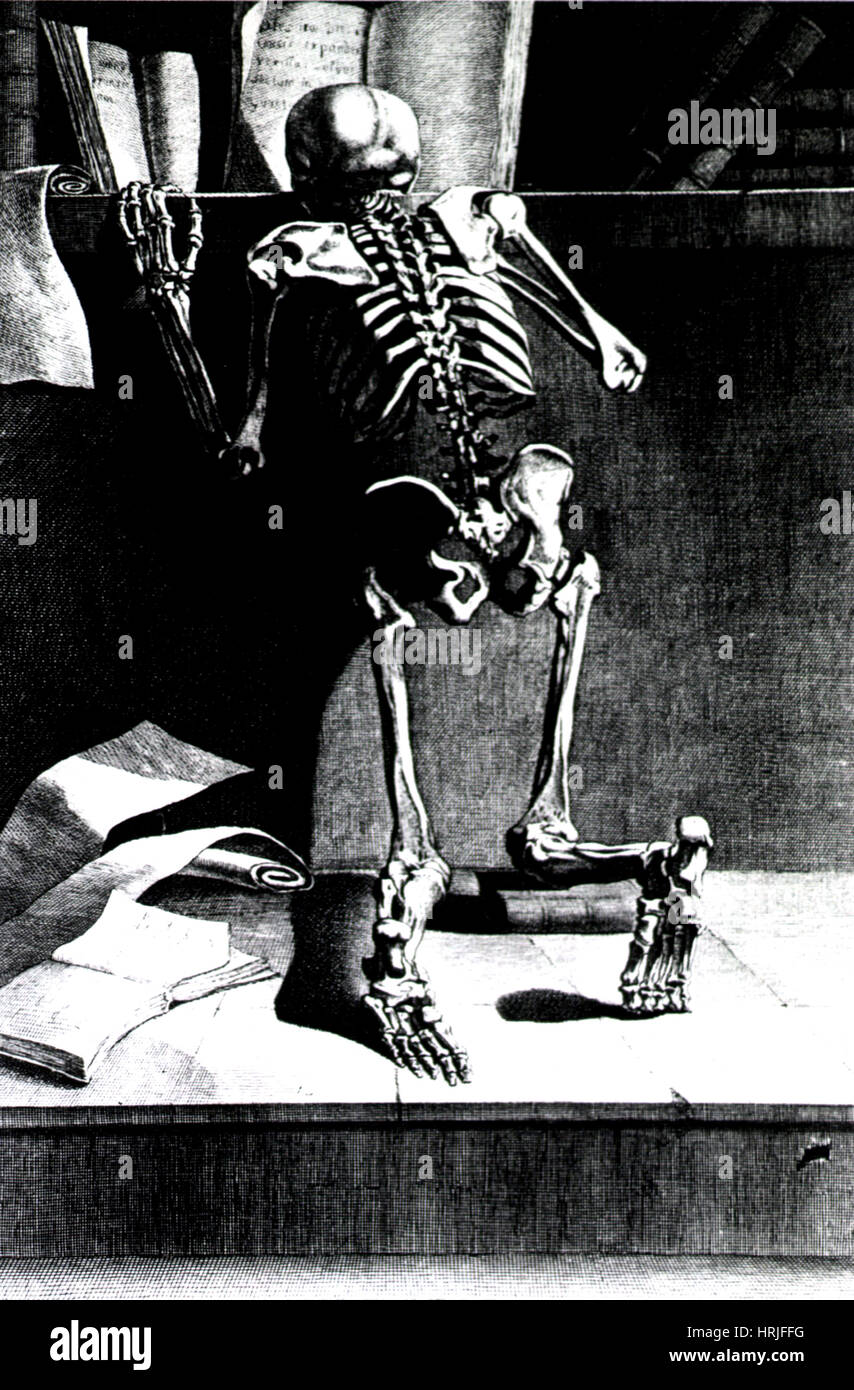 Kneeling skeleton hi-res stock photography and images - Alamy