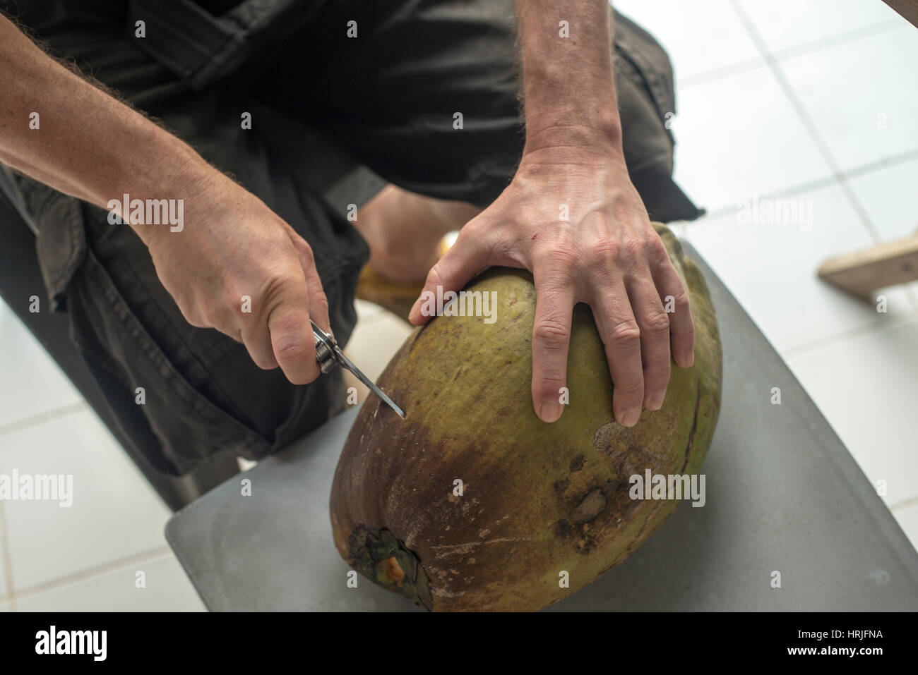 opening a coconut Stock Photo - Alamy