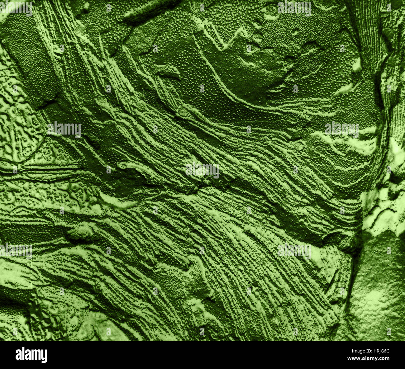 Tem chloroplast leaf hi-res stock photography and images - Alamy
