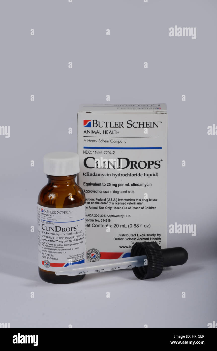 Clindamycin hi-res stock photography and images - Alamy