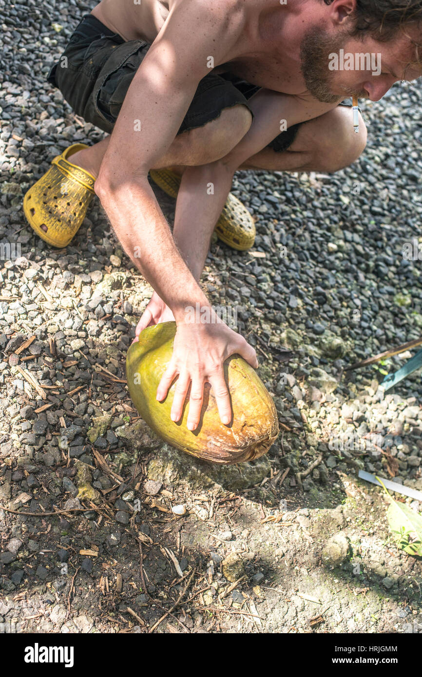 opening a coconut Stock Photo - Alamy