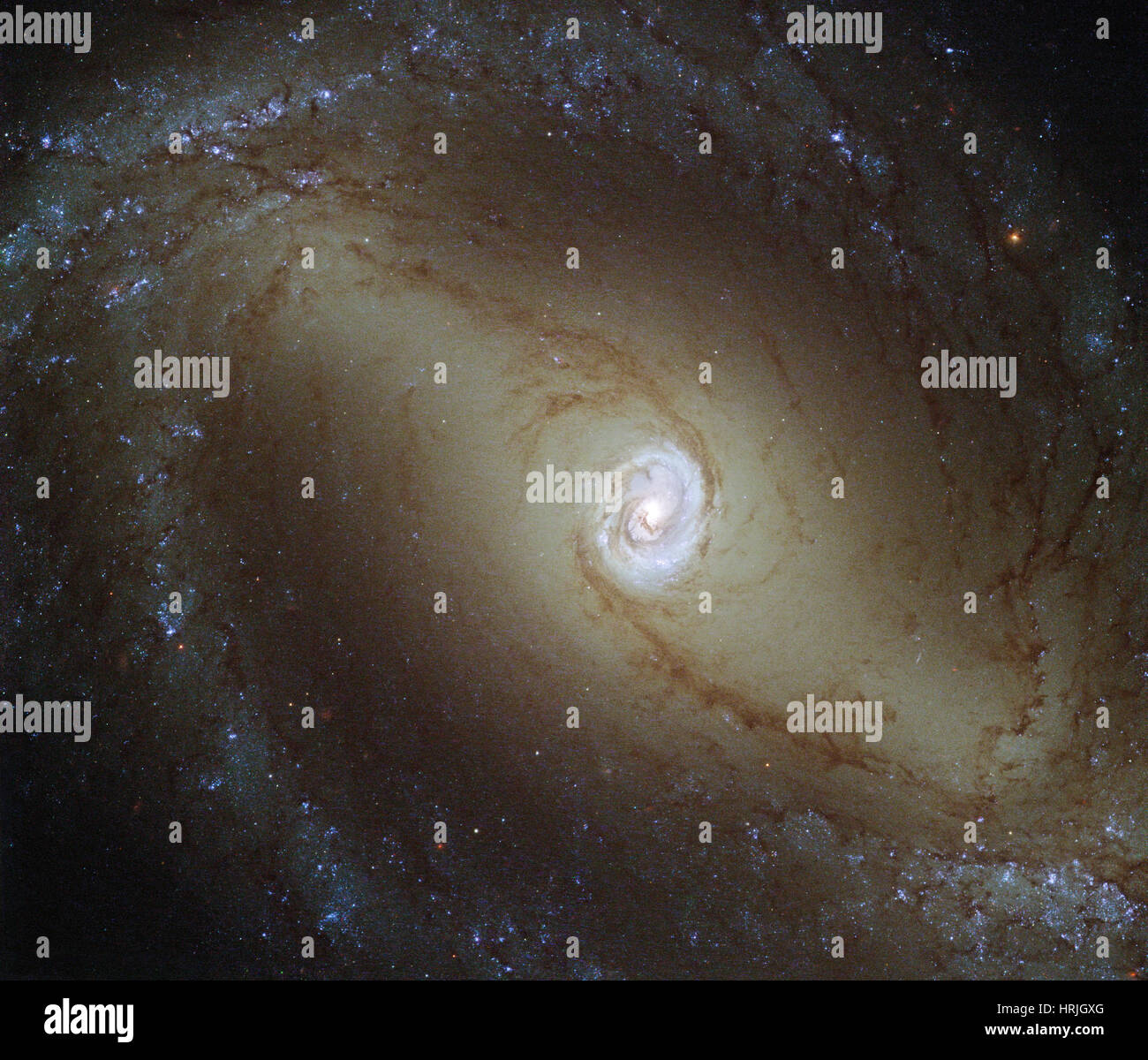 Seyfert spiral galaxy ngc1433 hi-res stock photography and images - Alamy