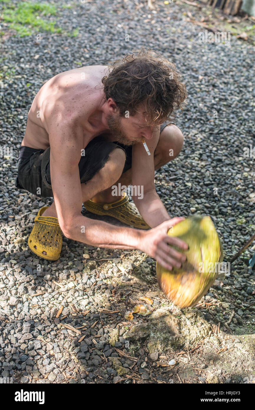 opening a coconut Stock Photo - Alamy