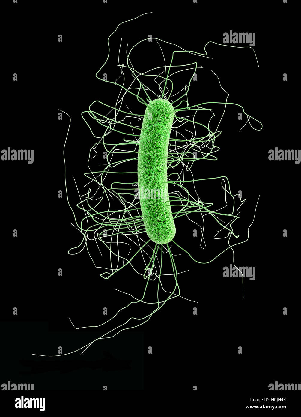 C diff hi-res stock photography and images - Alamy