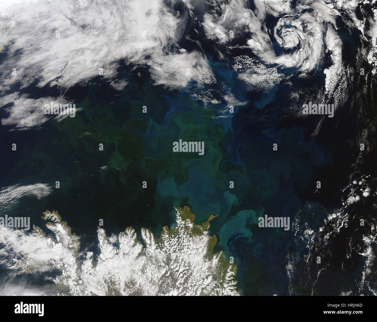 Phytoplankton Bloom, North Atlantic Stock Photo - Alamy