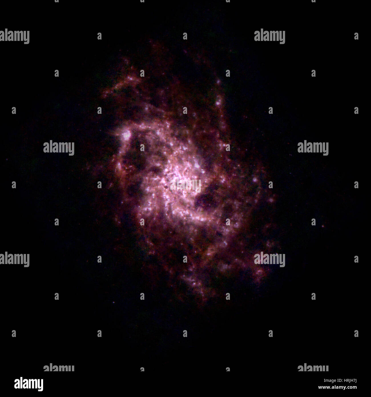 Triangulum Galaxy M33 Stock Photo - Alamy