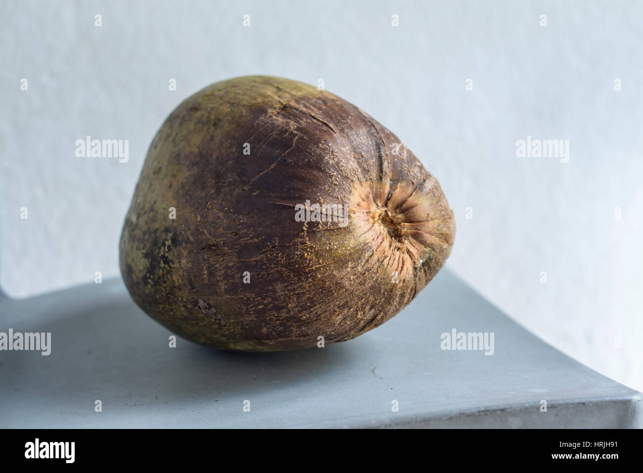 Coconut texture hi-res stock photography and images - Alamy