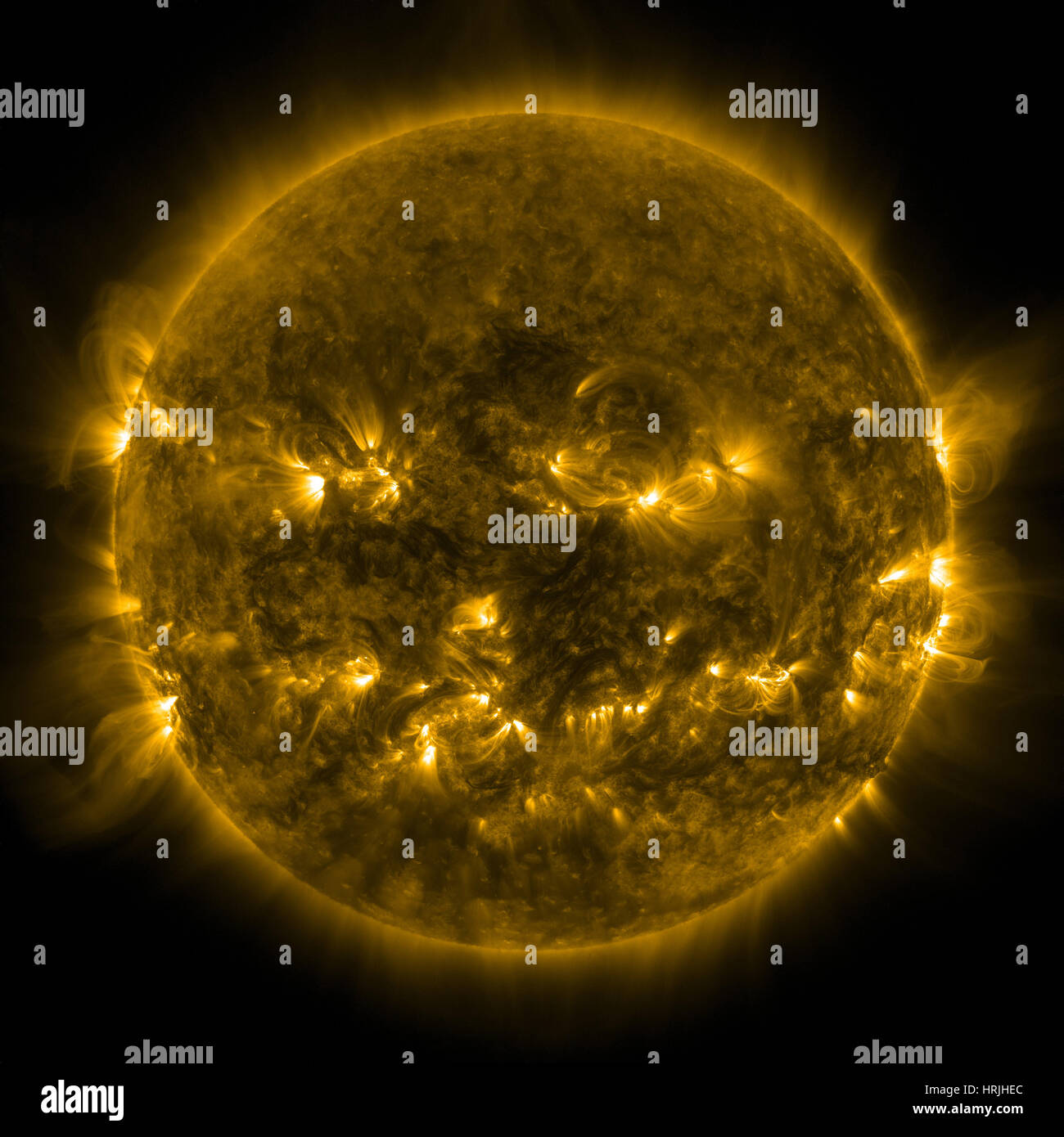 Jack star hi-res stock photography and images - Alamy