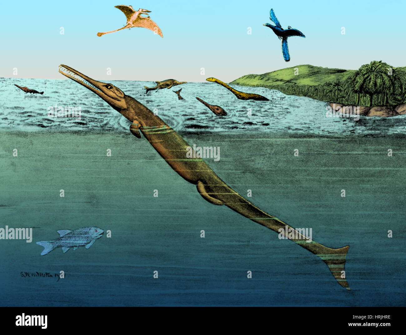 Jurassic era hi-res stock photography and images - Alamy