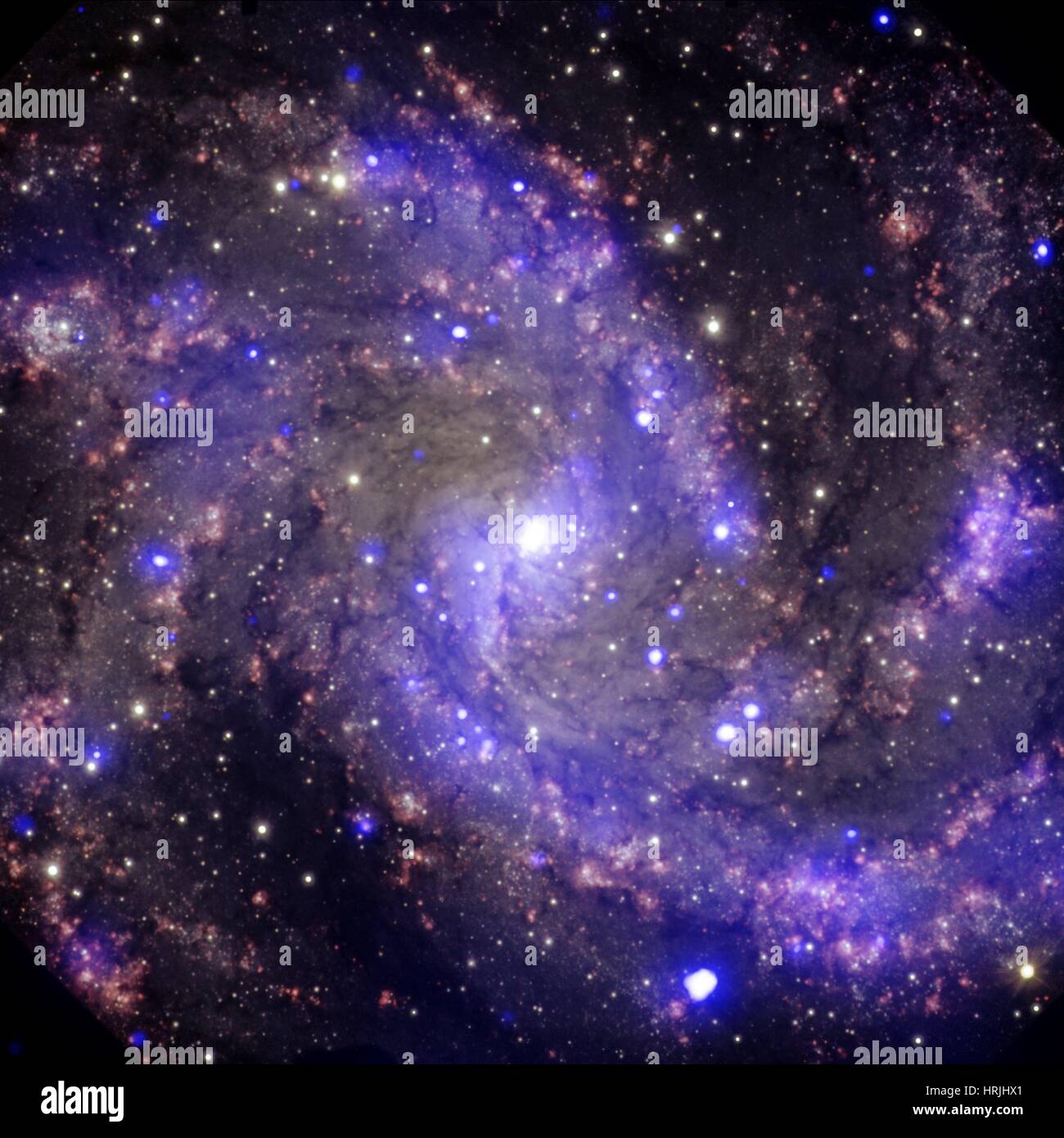 NGC 6946, The Fireworks Galaxy Stock Photo - Alamy
