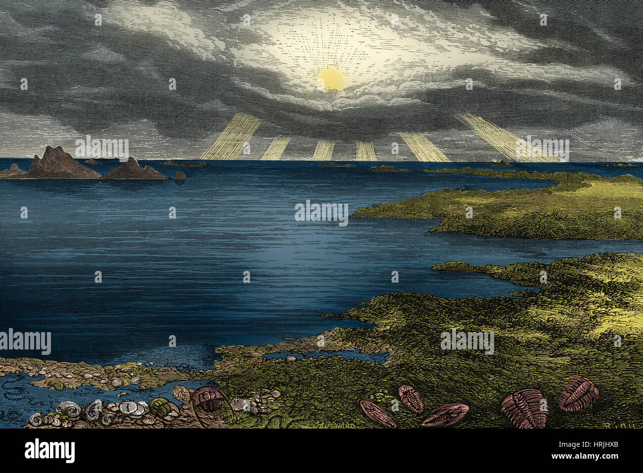 Silurian period hi-res stock photography and images - Alamy