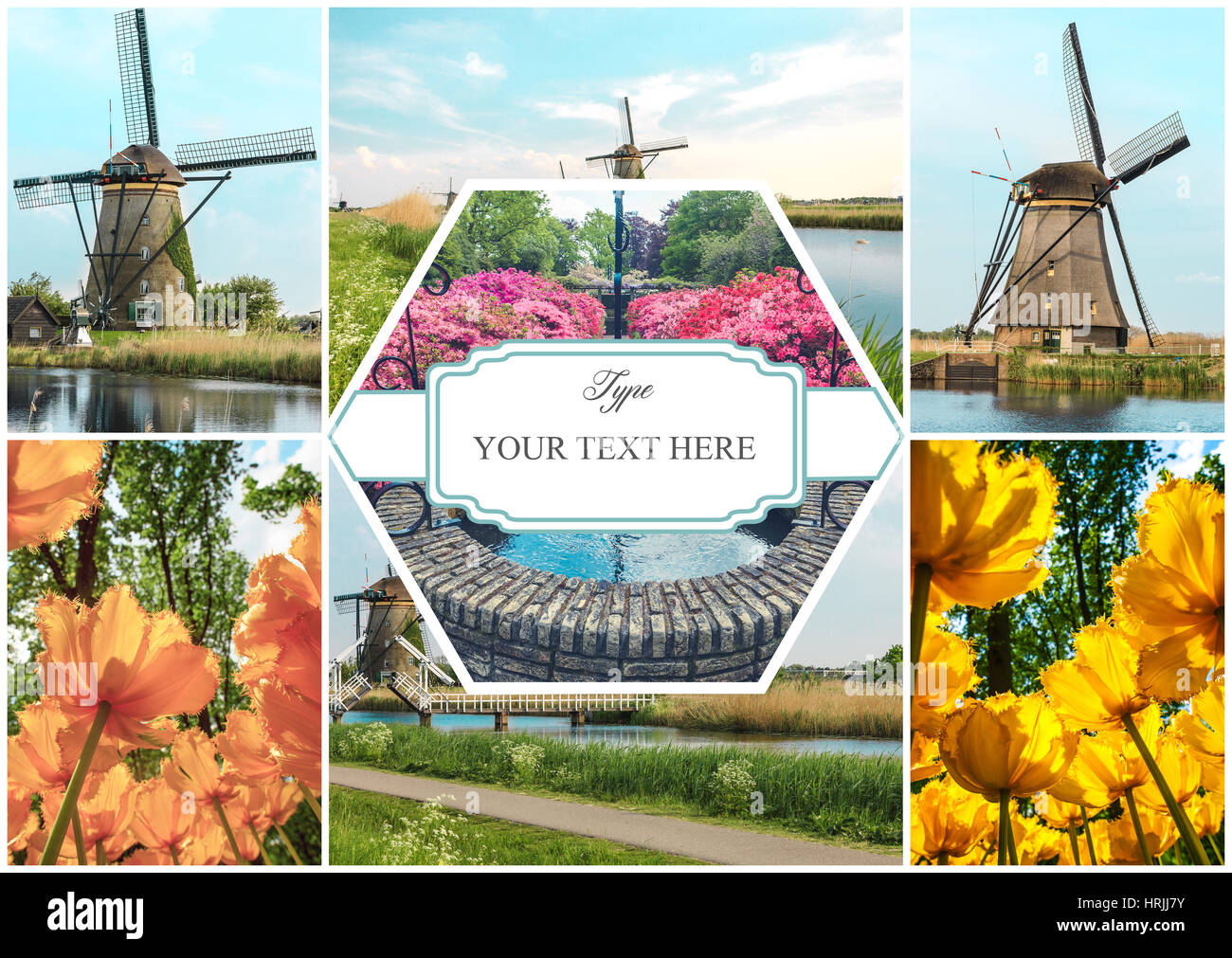 Tulip fields collage of different tulips Stock Photo - Alamy