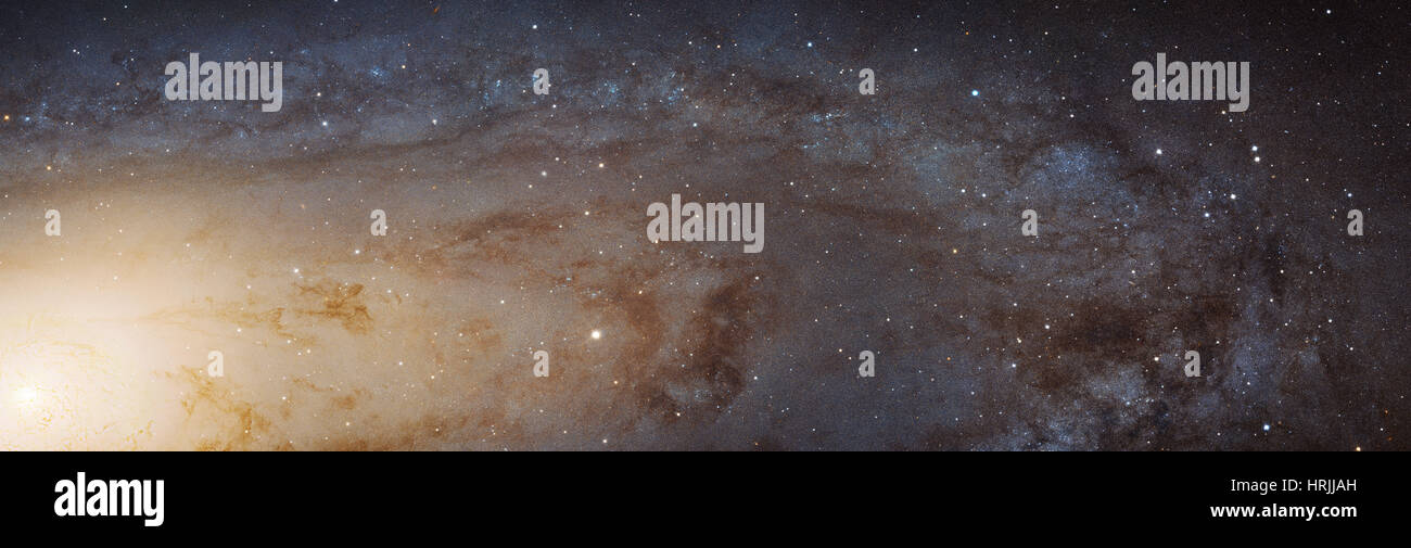 Andromeda Galaxy M31 Stock Photo - Alamy